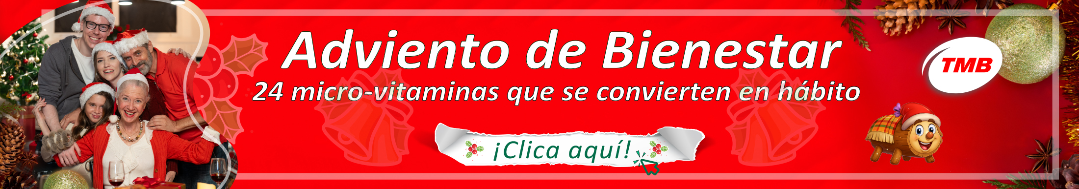 Categorías | TMB